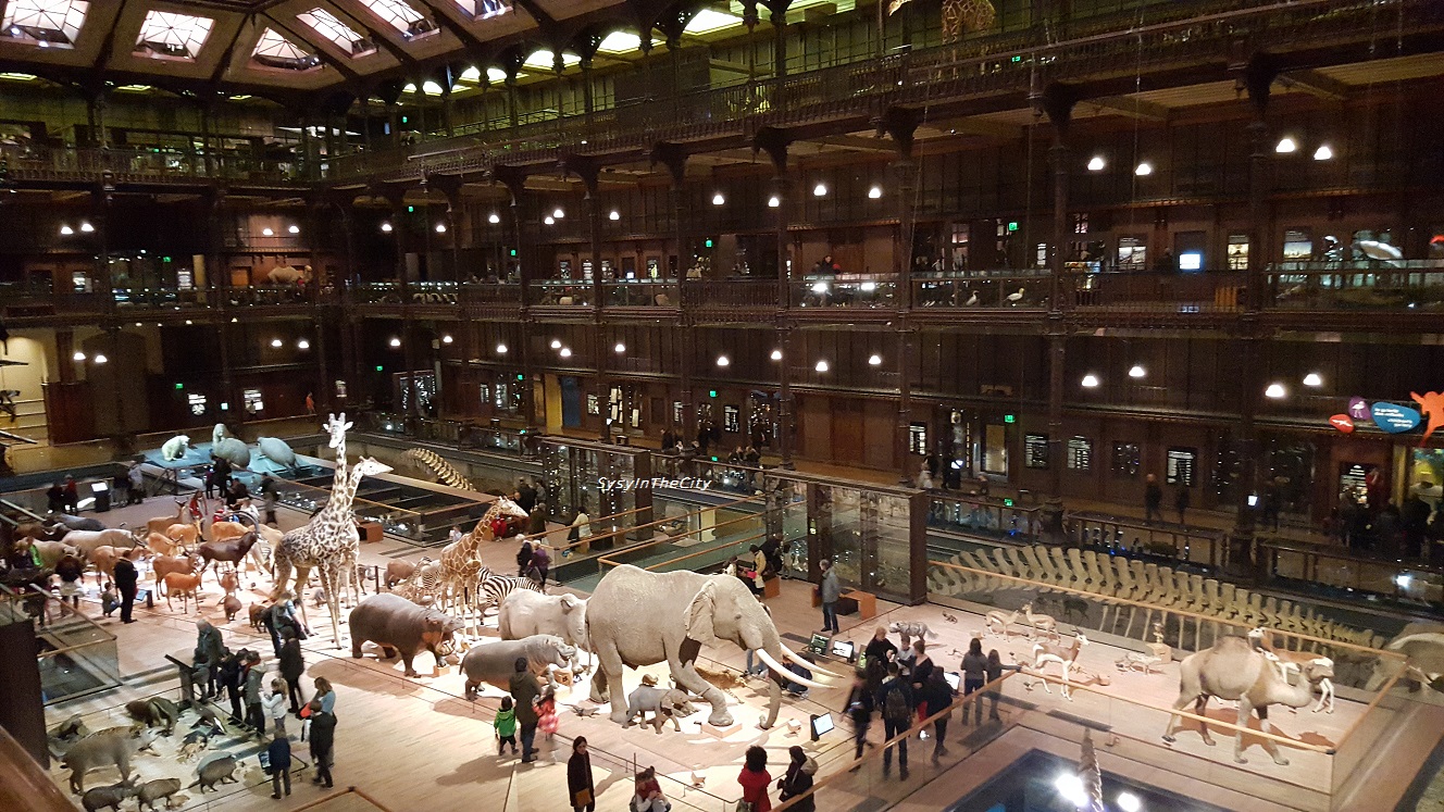 Grande Galerie de l'évolution, Paris